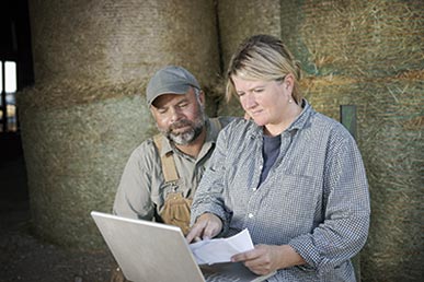 IRS Offers Coops Guidance on Section 199 Deductions: CliftonLarsonAllen